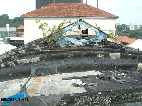 RC Roof | Bestcoat