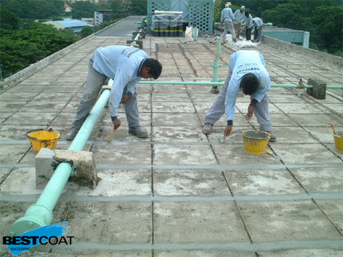 RC Roof | Bestcoat